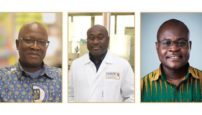 University of Ghana members among individuals appointed to serve on ...