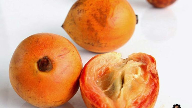 Ghana Month: A look at some of the nation's best local fruits - Radio ...
